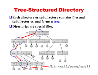 File system | PDF | Operating Systems | Computer Software and Applications