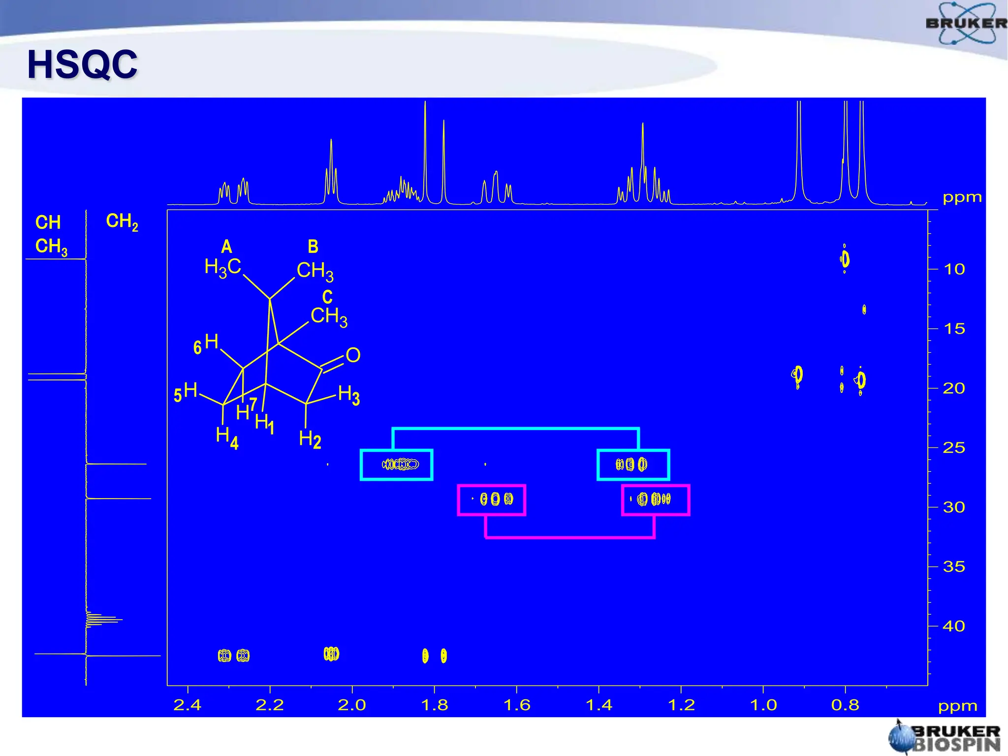 TopSpin NMR Training Courses Manual.ppt