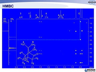 TopSpin NMR Training Courses Manual.ppt