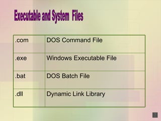File Type Extn | PPT