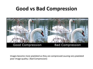 File types pro forma | PPT