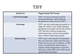 Digital Graphics- File Formats | PPTX