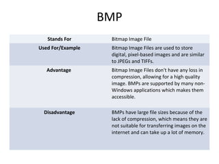 File Types Pro Forma | PPT