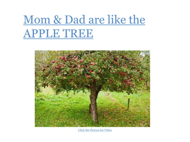 Teaching Filial Peity for Children Teaching Children to respect parents ...