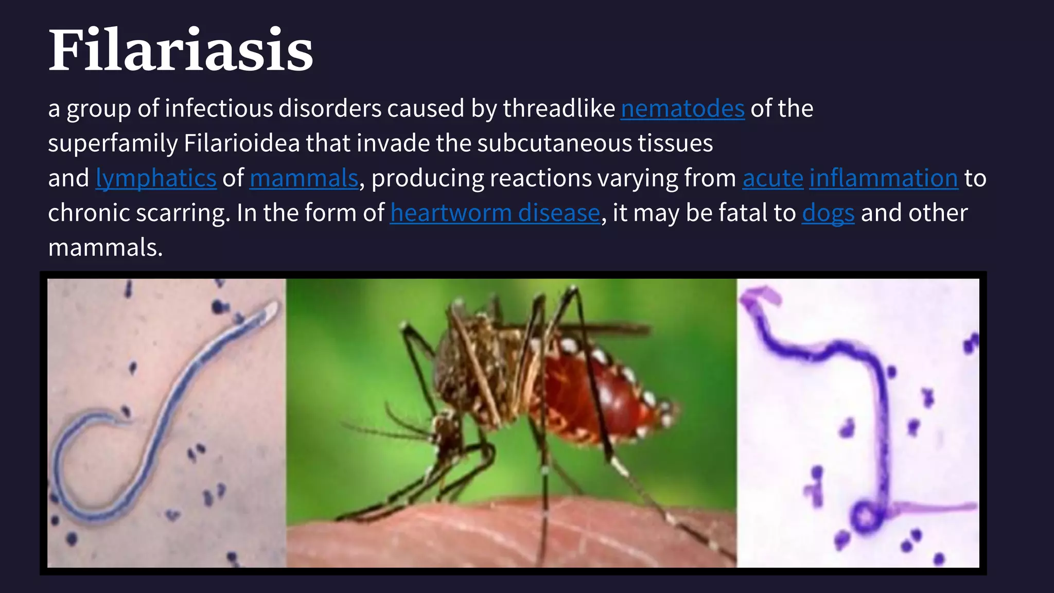 FILIARIASIS.pdf | Infectious Diseases | Diseases and Conditions