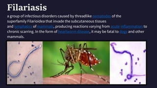 FILIARIASIS.pdf | Infectious Diseases | Diseases and Conditions