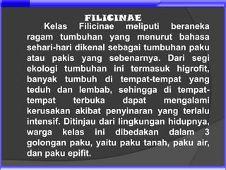 Filicinae | PPT | Free Download