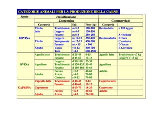 Filiera della carne | PDF