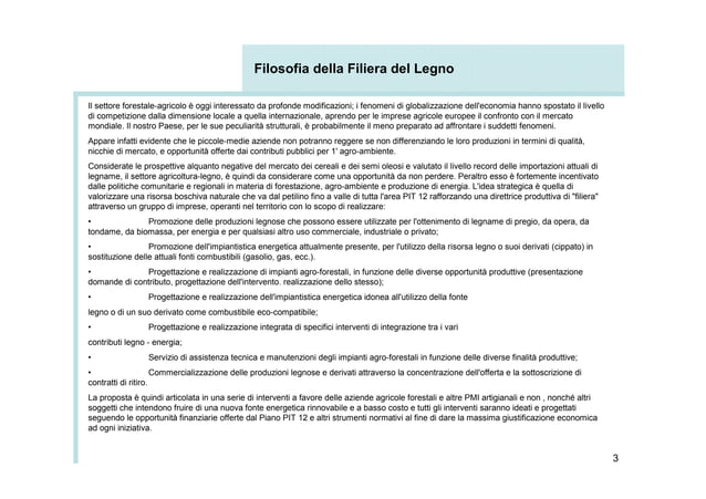 Filiera del legno_businessplan | PDF