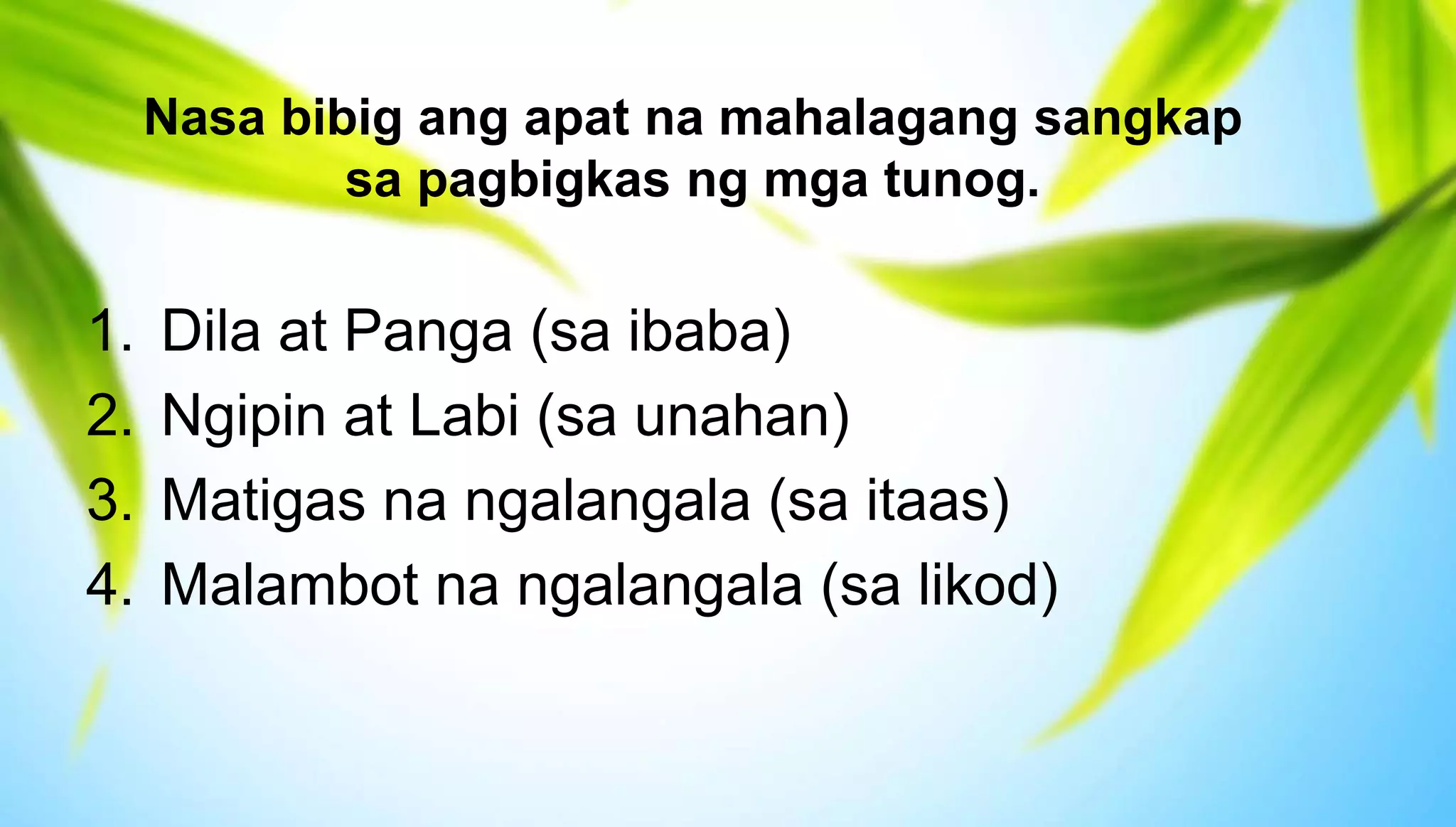 Ponoloji, Morpoloji, Leksikal | PPTX