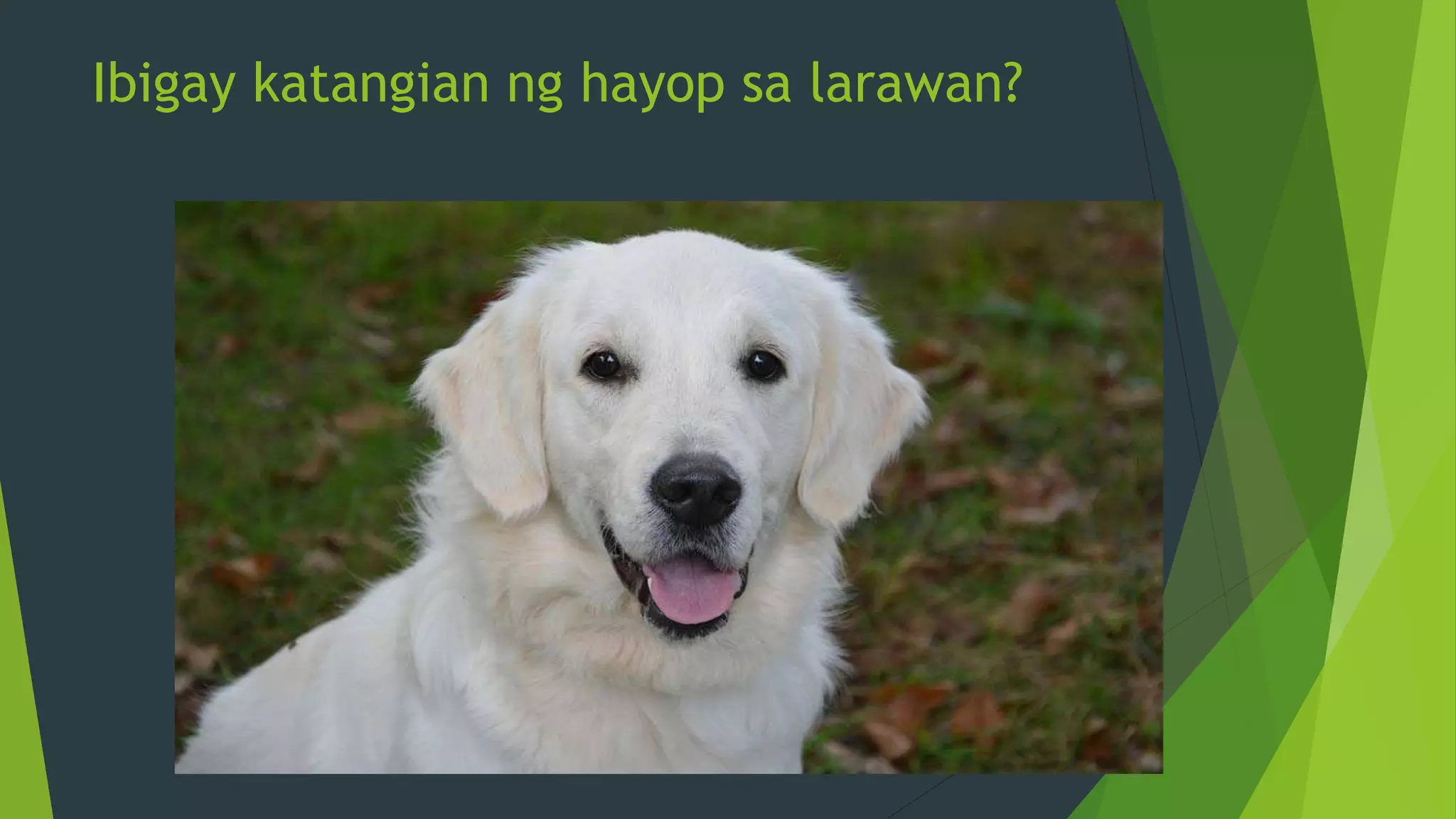 FILIPINO-7-PABULA.pptx