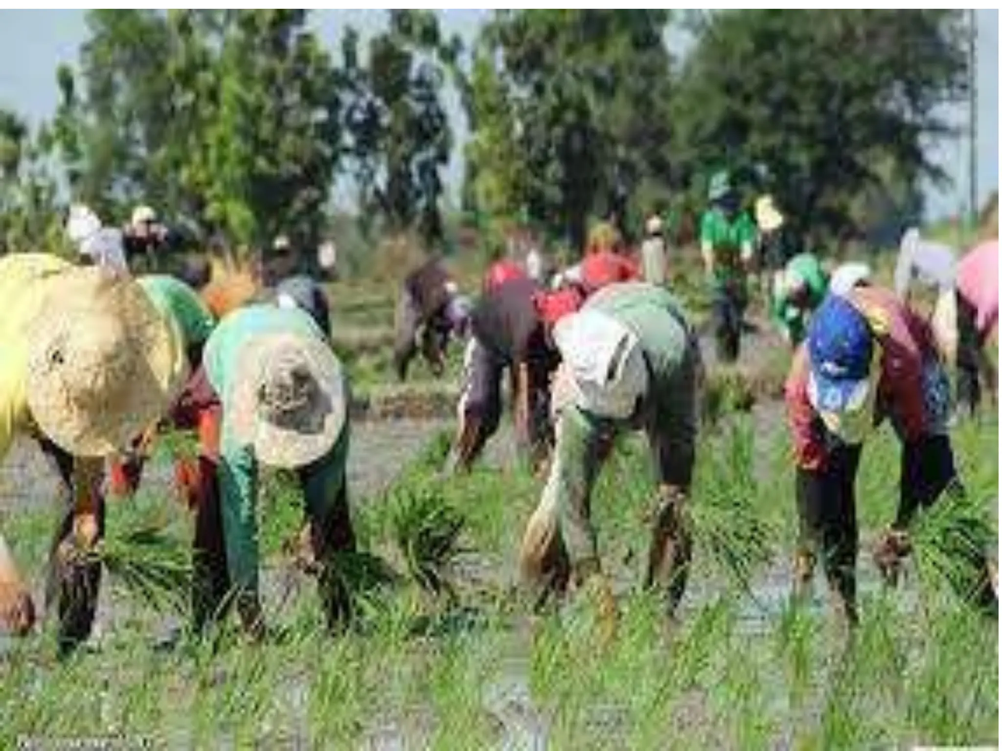 Filipino-sa-Piling-Larang-Modyul-14.pptx