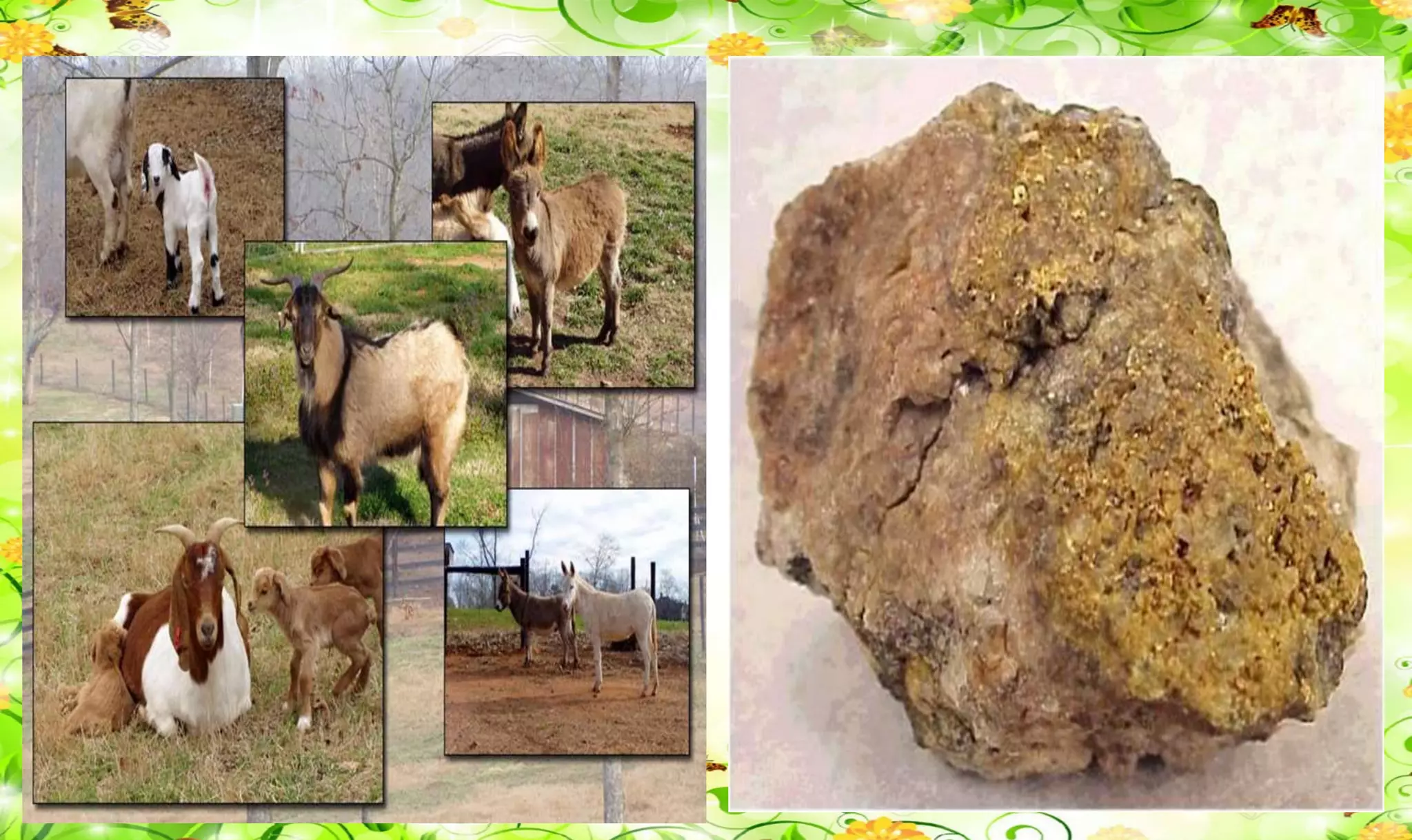 Filipino 3 aralin 26- ikatlong araw | PPTX