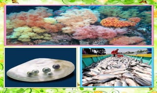 Filipino 3 aralin 26- ikatlong araw | PPTX