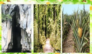 Filipino 3 aralin 26- ikatlong araw | PPTX