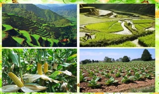 Filipino 3 aralin 26- ikatlong araw | PPTX