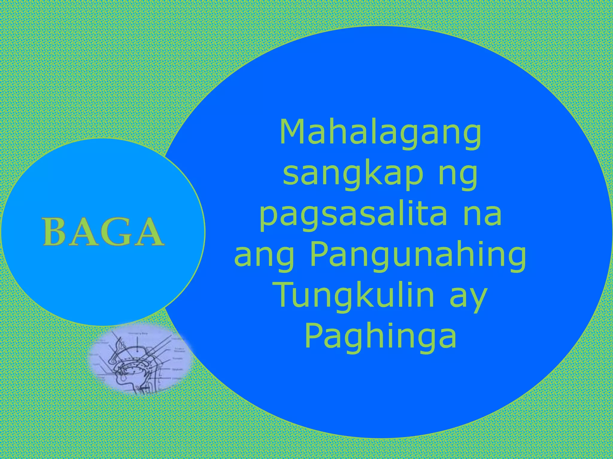 PANIMULANG LINGGWISTIKA : Ang Pagsasalita | PPTX