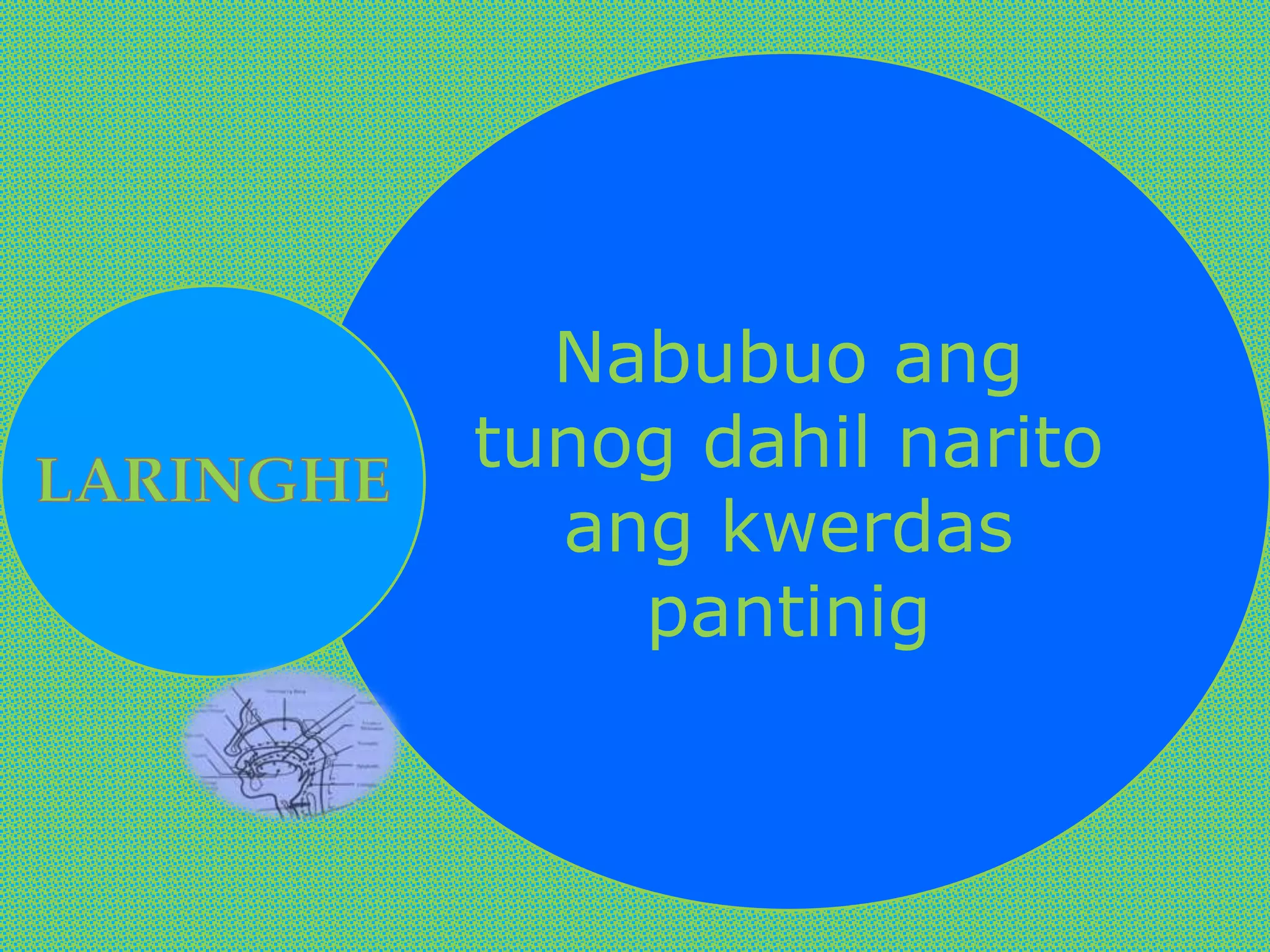 PANIMULANG LINGGWISTIKA : Ang Pagsasalita | PPTX