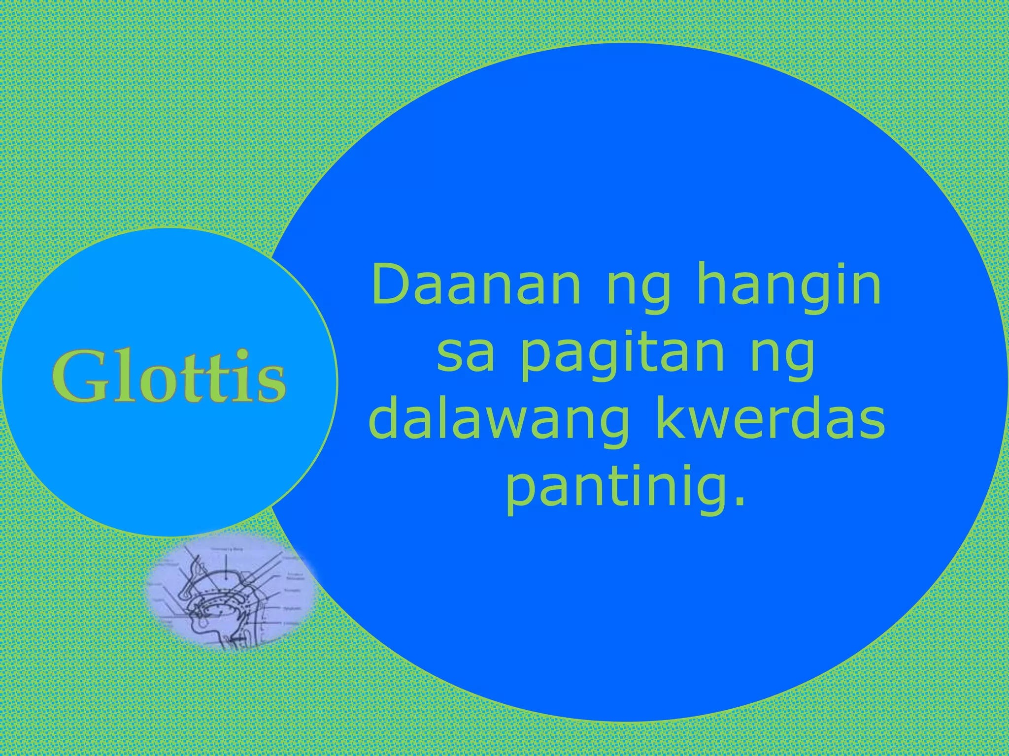 PANIMULANG LINGGWISTIKA : Ang Pagsasalita | PPTX
