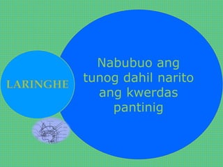 PANIMULANG LINGGWISTIKA : Ang Pagsasalita | PPTX