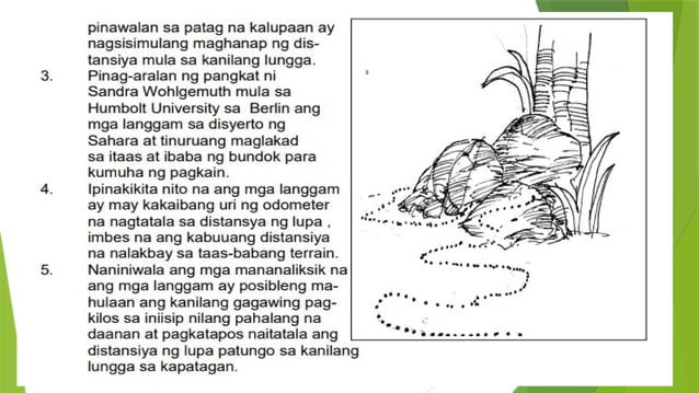 FILIPINO 6 quarter 1WEEK 6 DAY 1.powerpoint | PPT