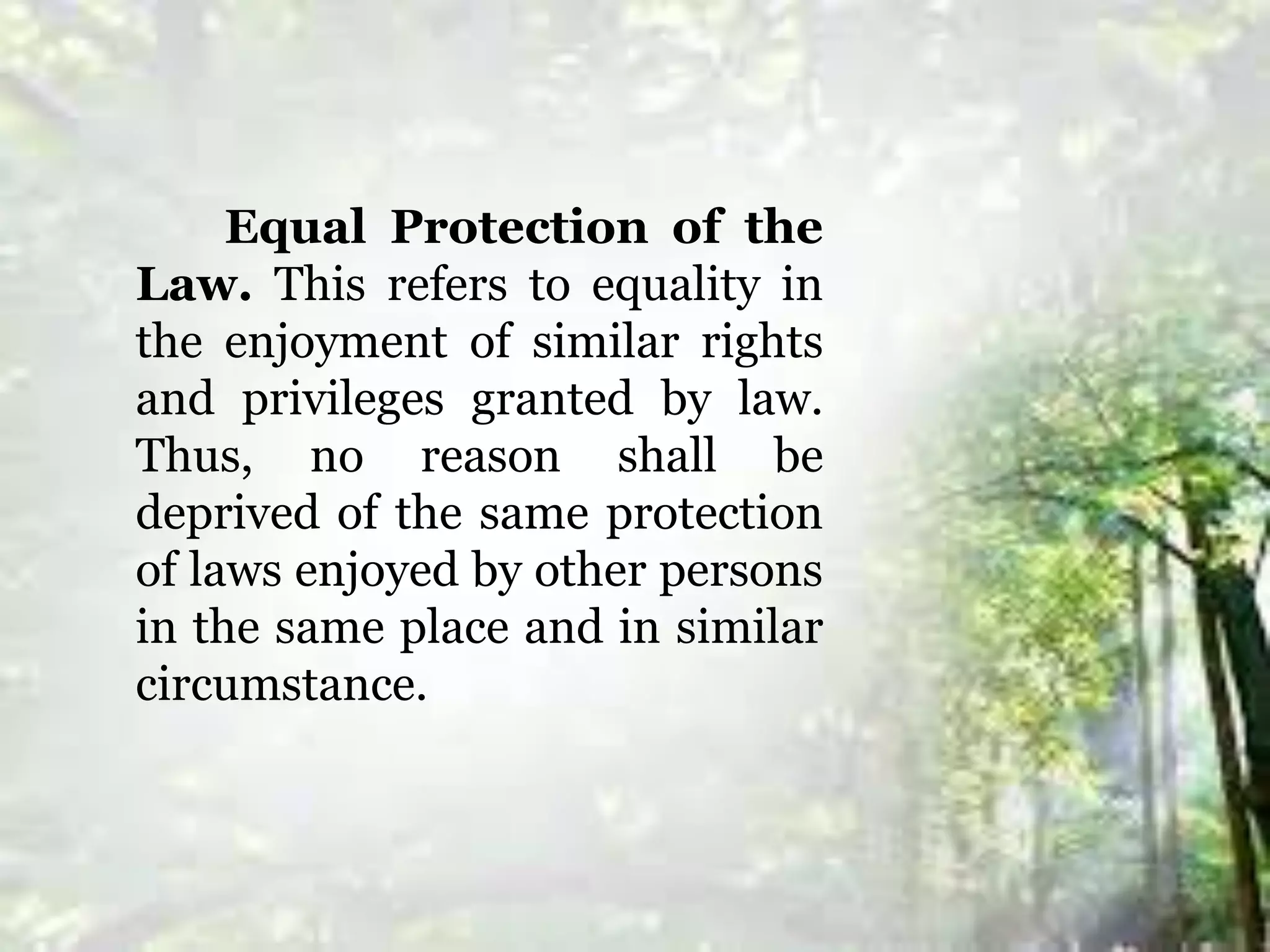 Filipino Citizens and Their Rights | PPTX