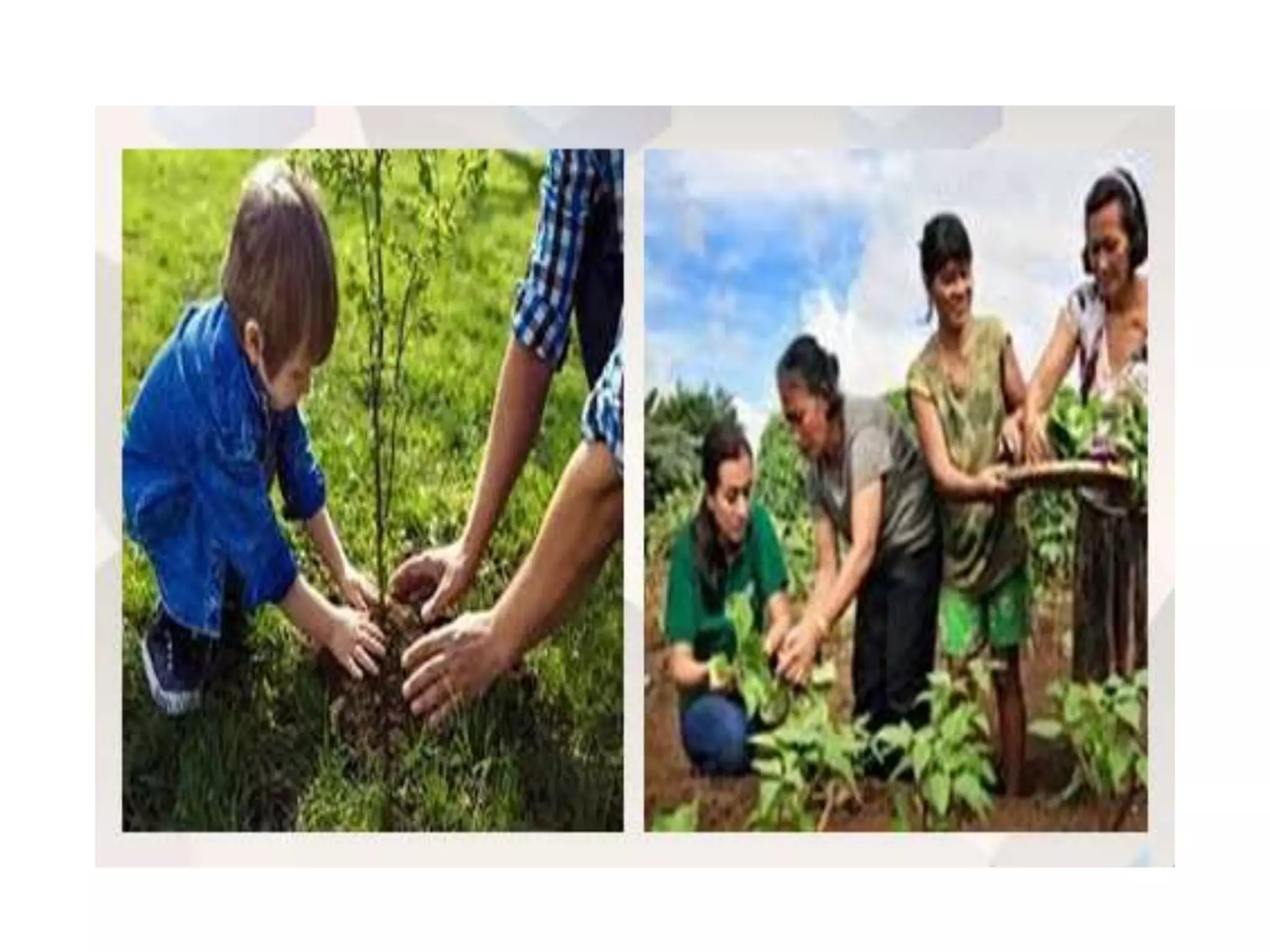 FILIPINO IV sanhi at bunga DLP.pptx