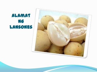 Filipino powerpoint | PPTX