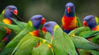 FilipinoQ2 Ang at Ang Mga.pptxnnnnnnnnnn | PPT