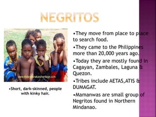 Filipino roots | PPTX