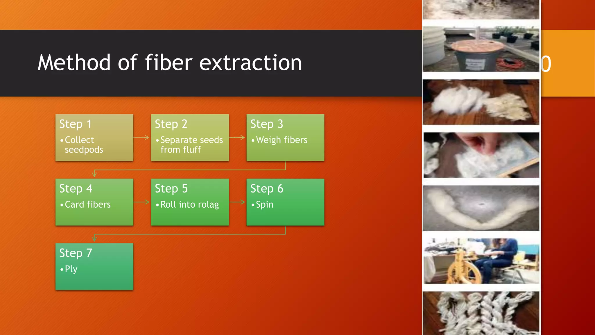 Filling fibers and their scope in pakistan | PPT