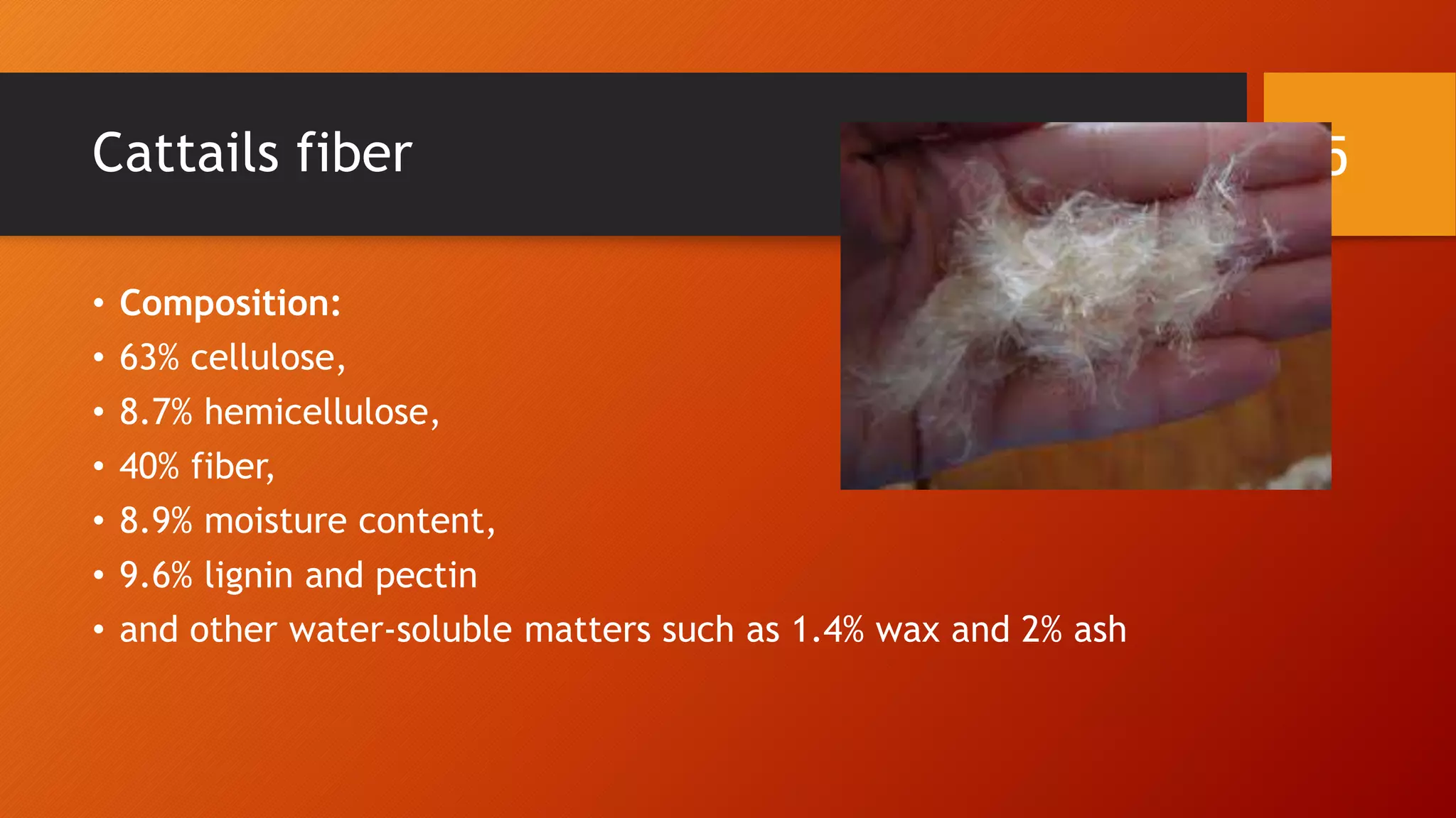 Filling fibers and their scope in pakistan | PPT