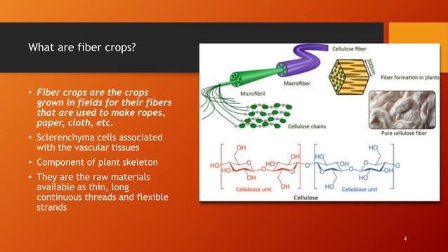 Filling fibers and their scope in pakistan | PPT