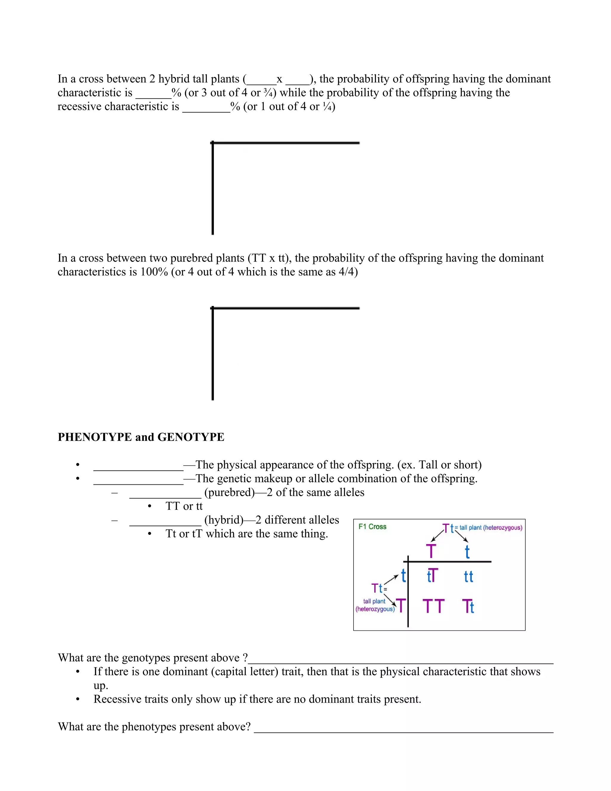 Fill In Notes Probability.Mendel.Genetics | DOC