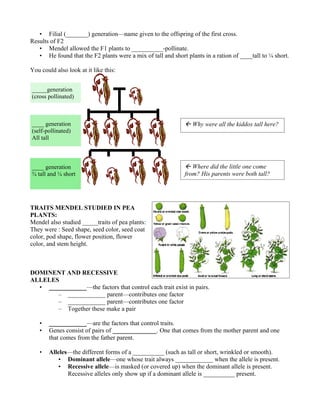 Fill In Notes Probability.Mendel.Genetics | DOC