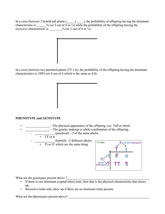 Fill In Notes Probability.Mendel.Genetics | DOC