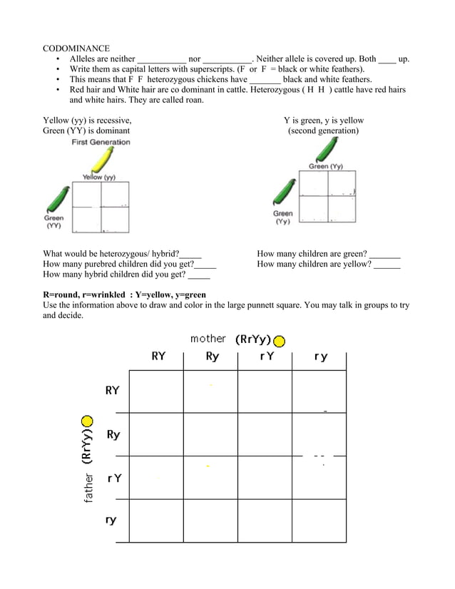 Fill In Notes Probability.Mendel.Genetics | DOC