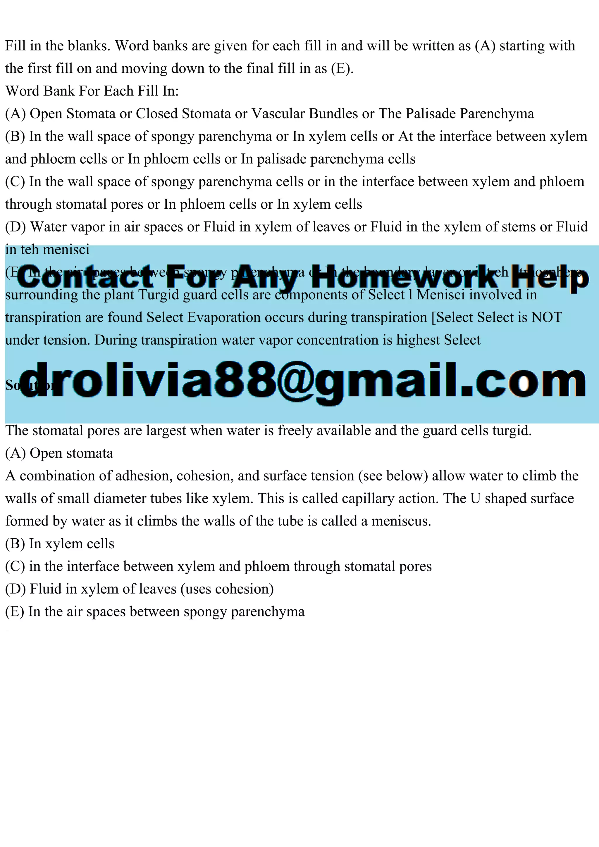 Fill in the blanks. Word banks are given for each fill in and will b.pdf