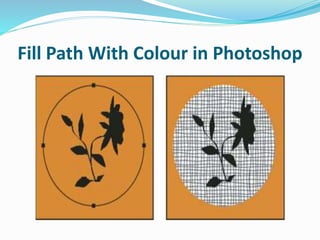 Fill Path with Colour in Photoshop | PPTX