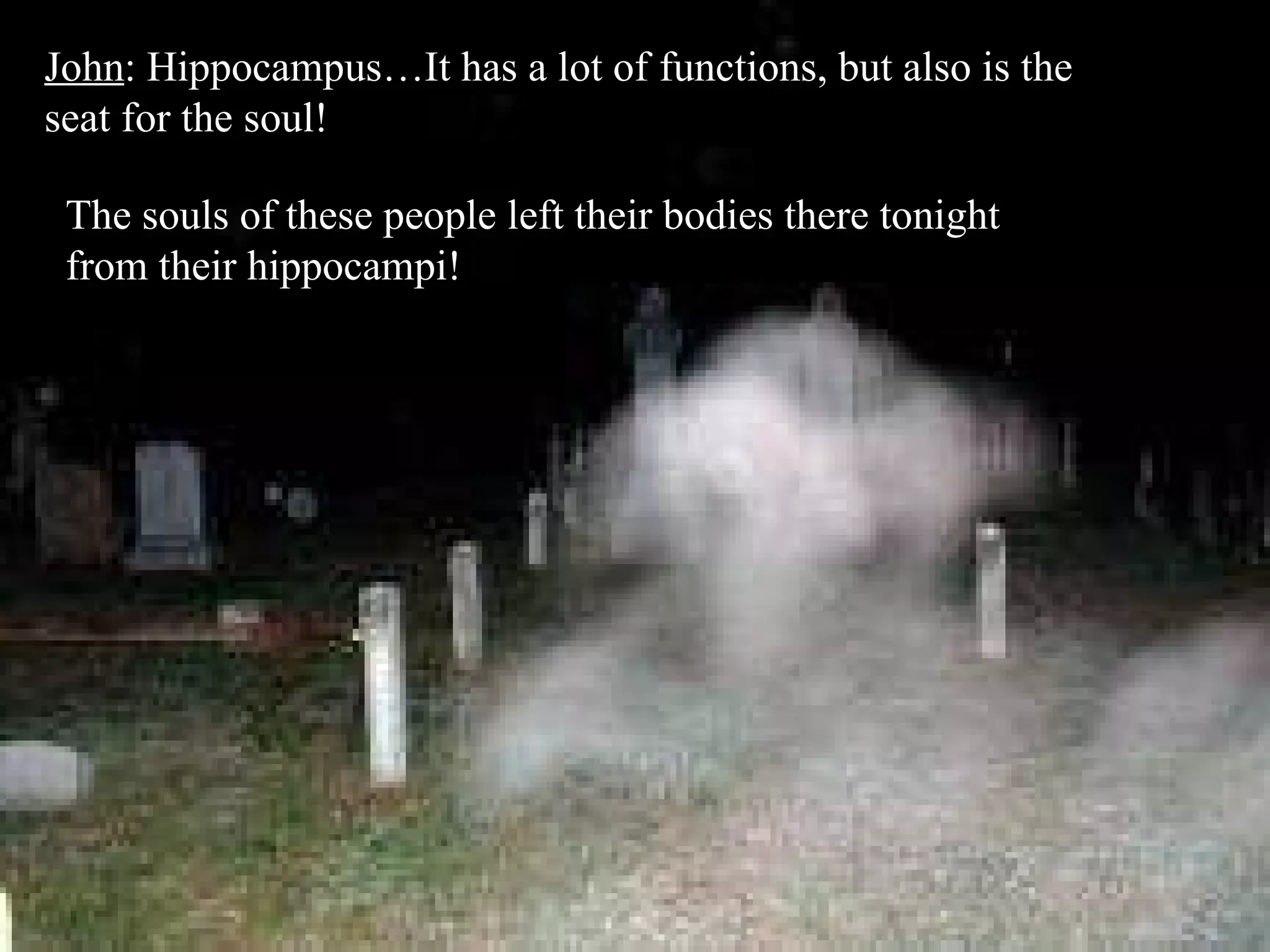 anatomy of the soul | PPT