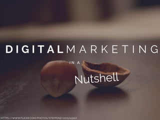 Digital Marketing in a Nutshell | PPT