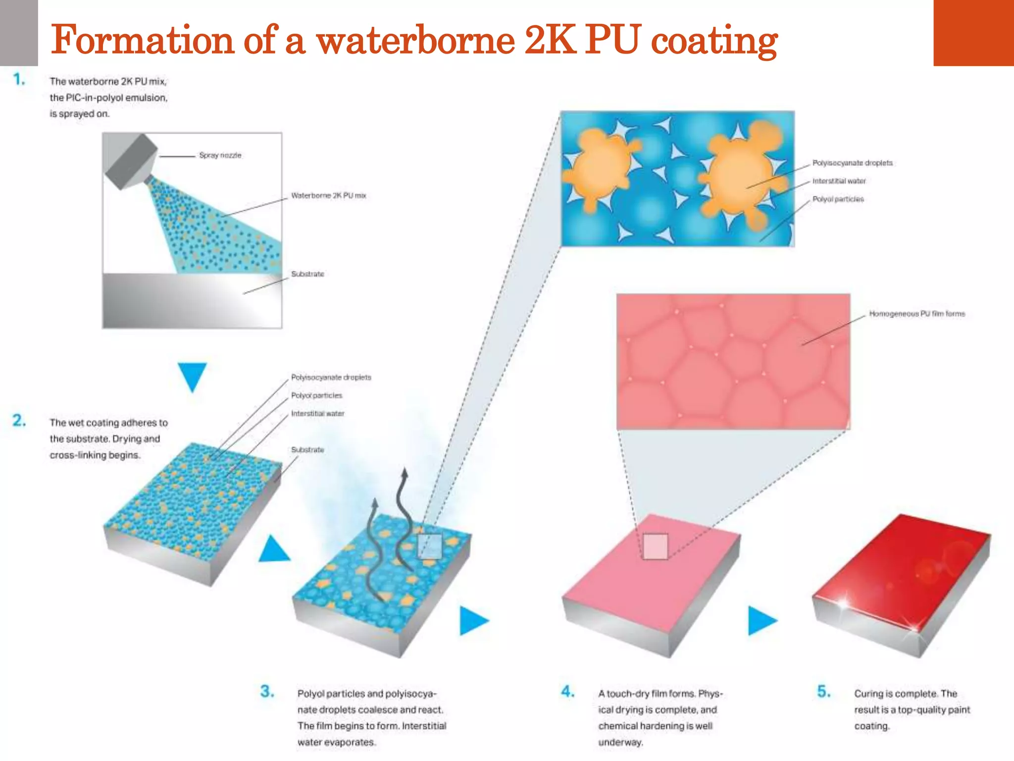 Piant Film formation | PPTX