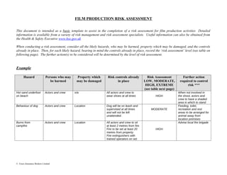 Film production risk assessment form | DOC