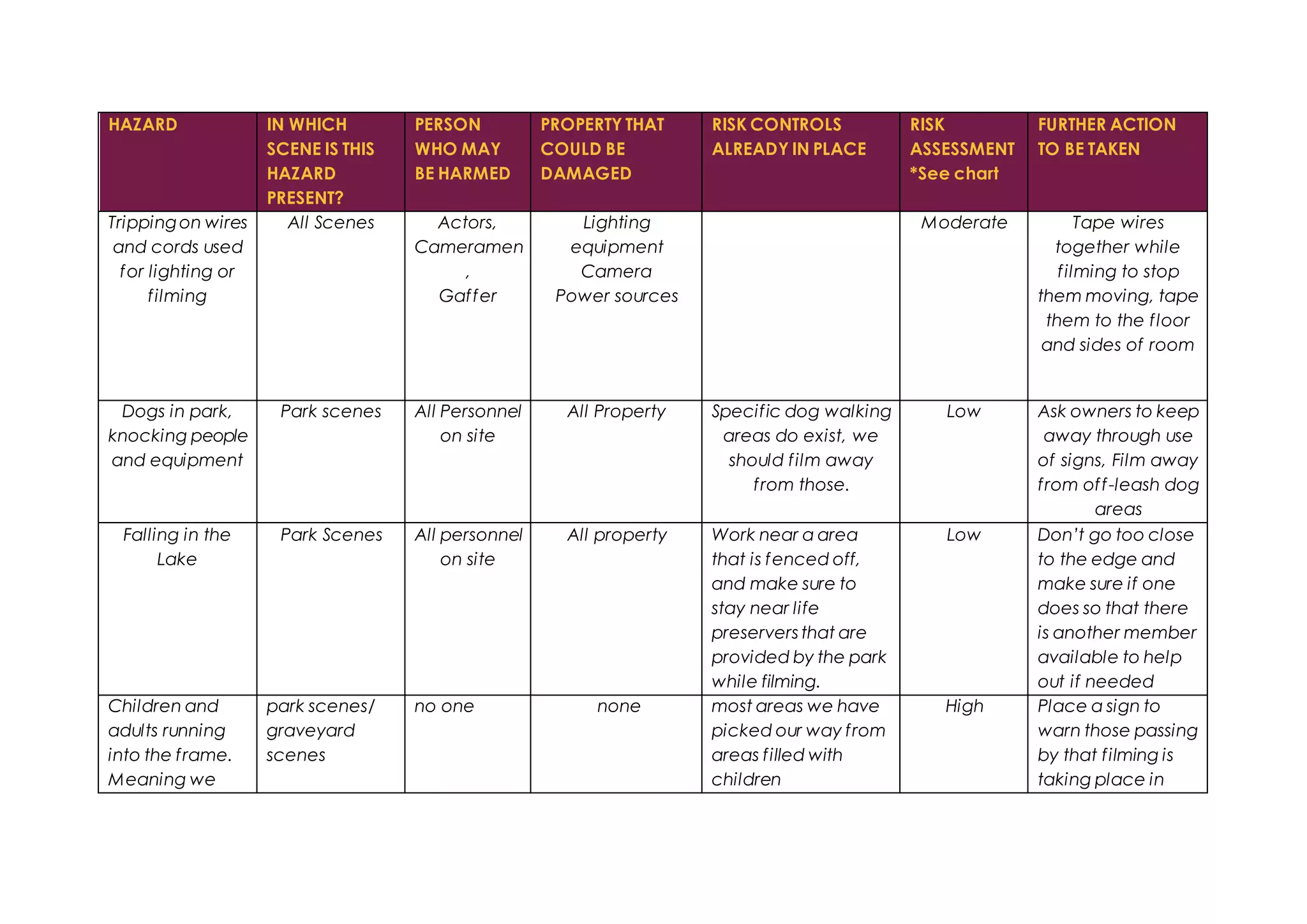 Film production risks | DOCX