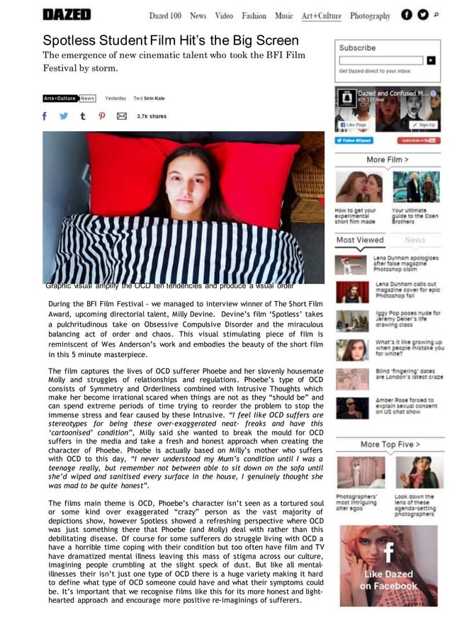 Spotless Review | PDF