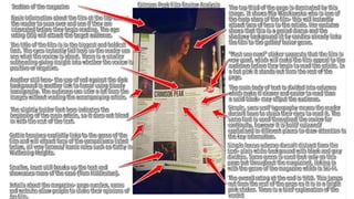 Film review research | PPT