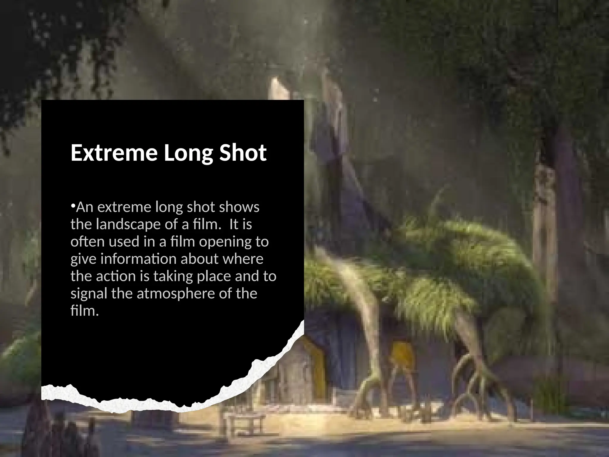 Film Technique hunt for the Wilder People | PPT