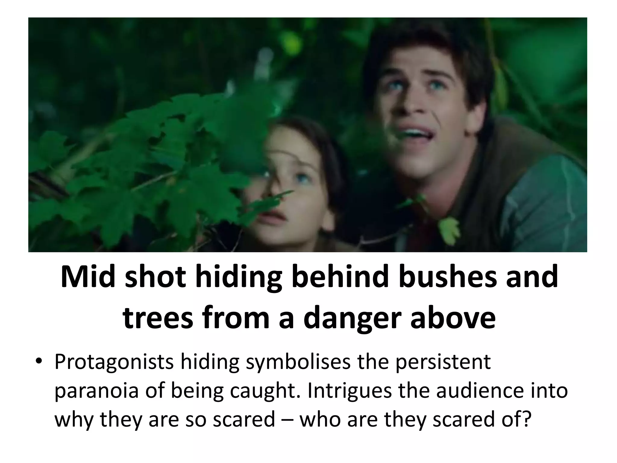 The Hunger Games Analysis | PPT