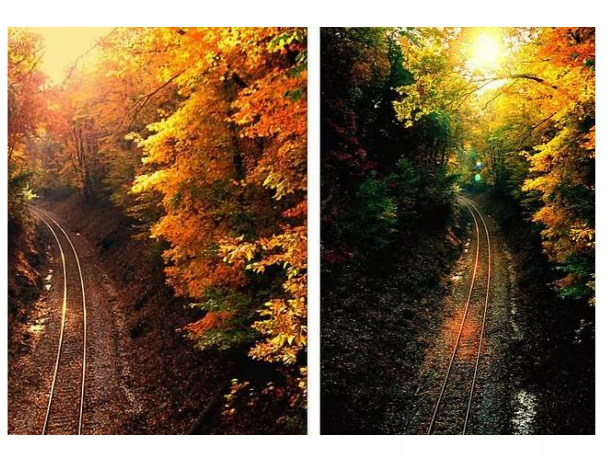 Film and digital comparison | PPTX | Digital Arts | Fine Art