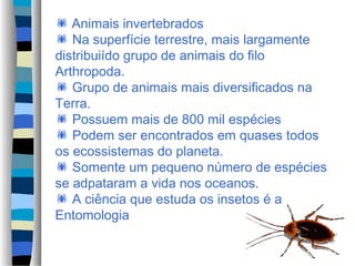 Filo artrópodes 03 insetos - características e anatomia | PPT